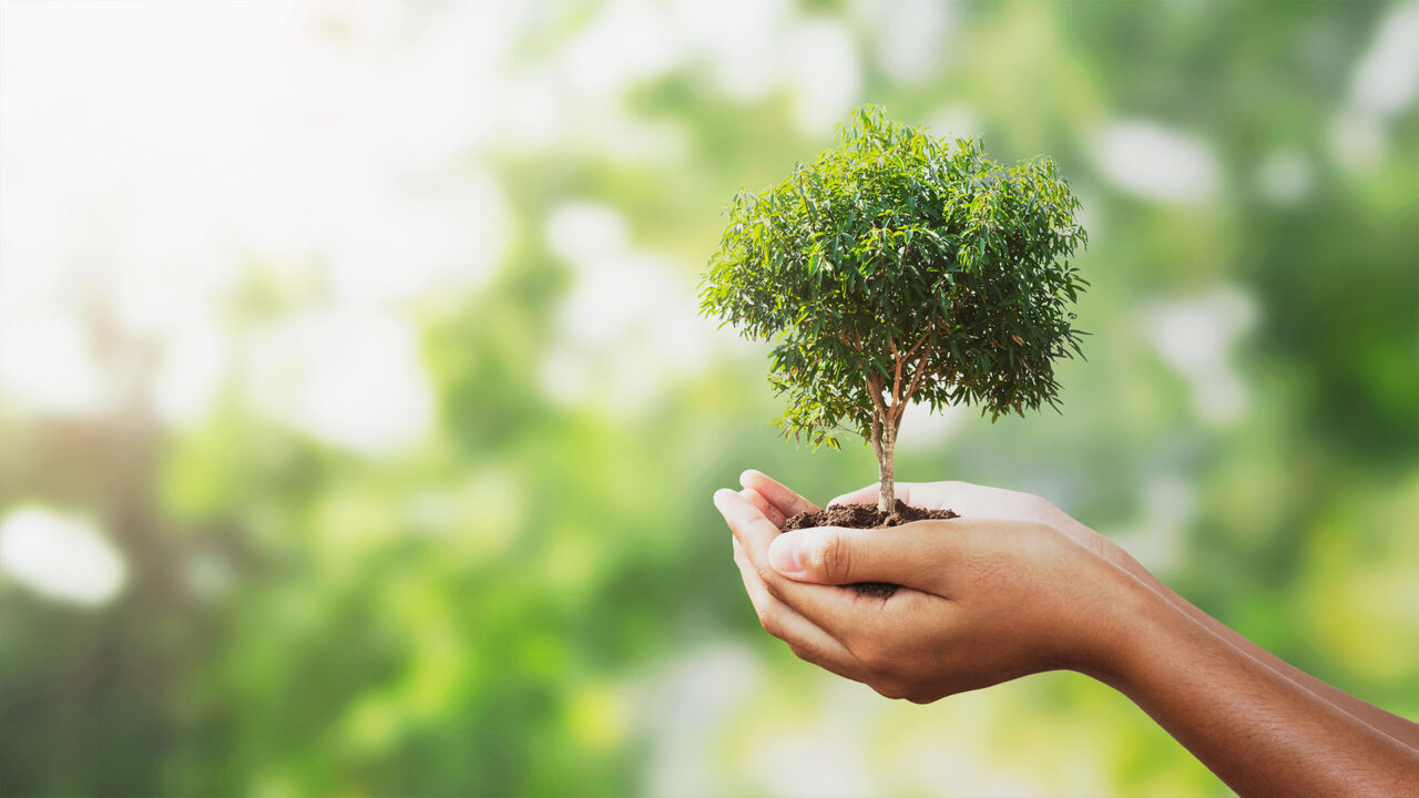 wenn wir miteinander arbeiten - Martina Pühringer